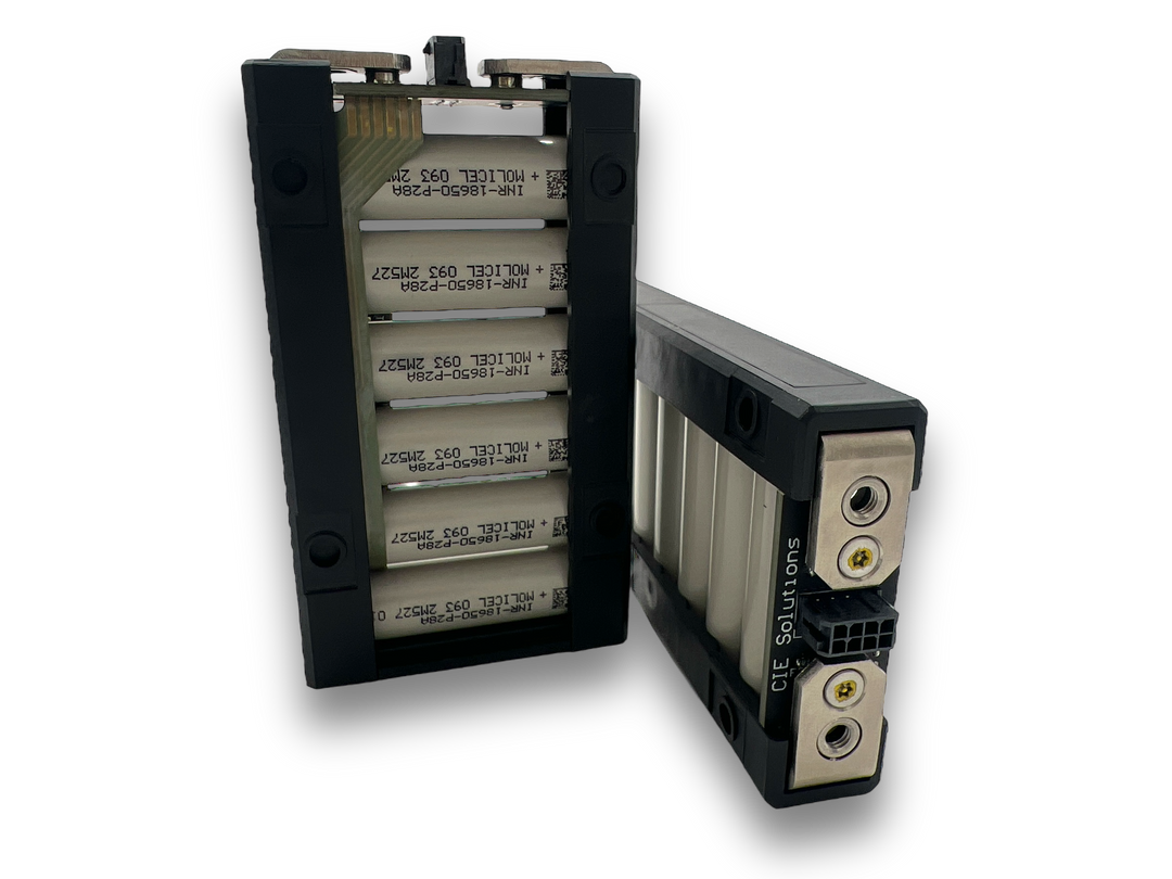 Lithium Ion Batteries – EVolve Electrics